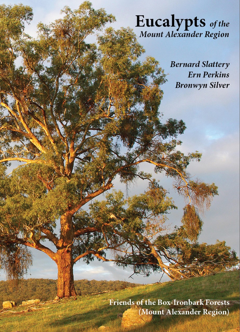 Celebrating & Appreciating the Box-Ironbark Forests – Wararack Initiatives